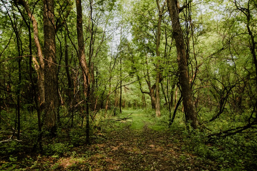 Shepard Farm | Dodge Nature Center