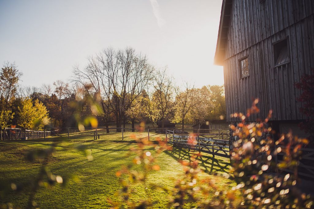 Photography & Filming at Dodge | Dodge Nature Center