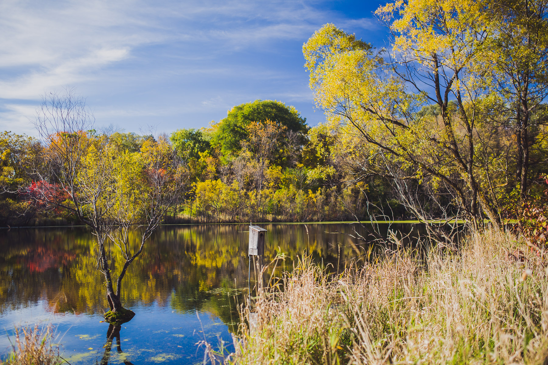 Preschool | Dodge Nature Center