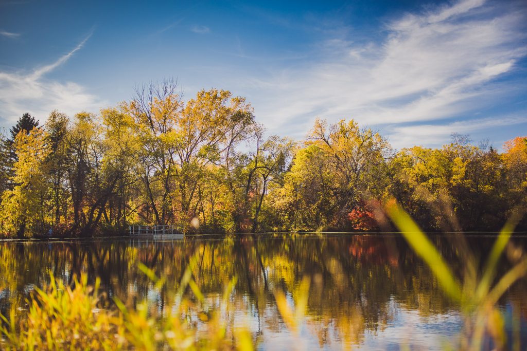 Careers | Dodge Nature Center