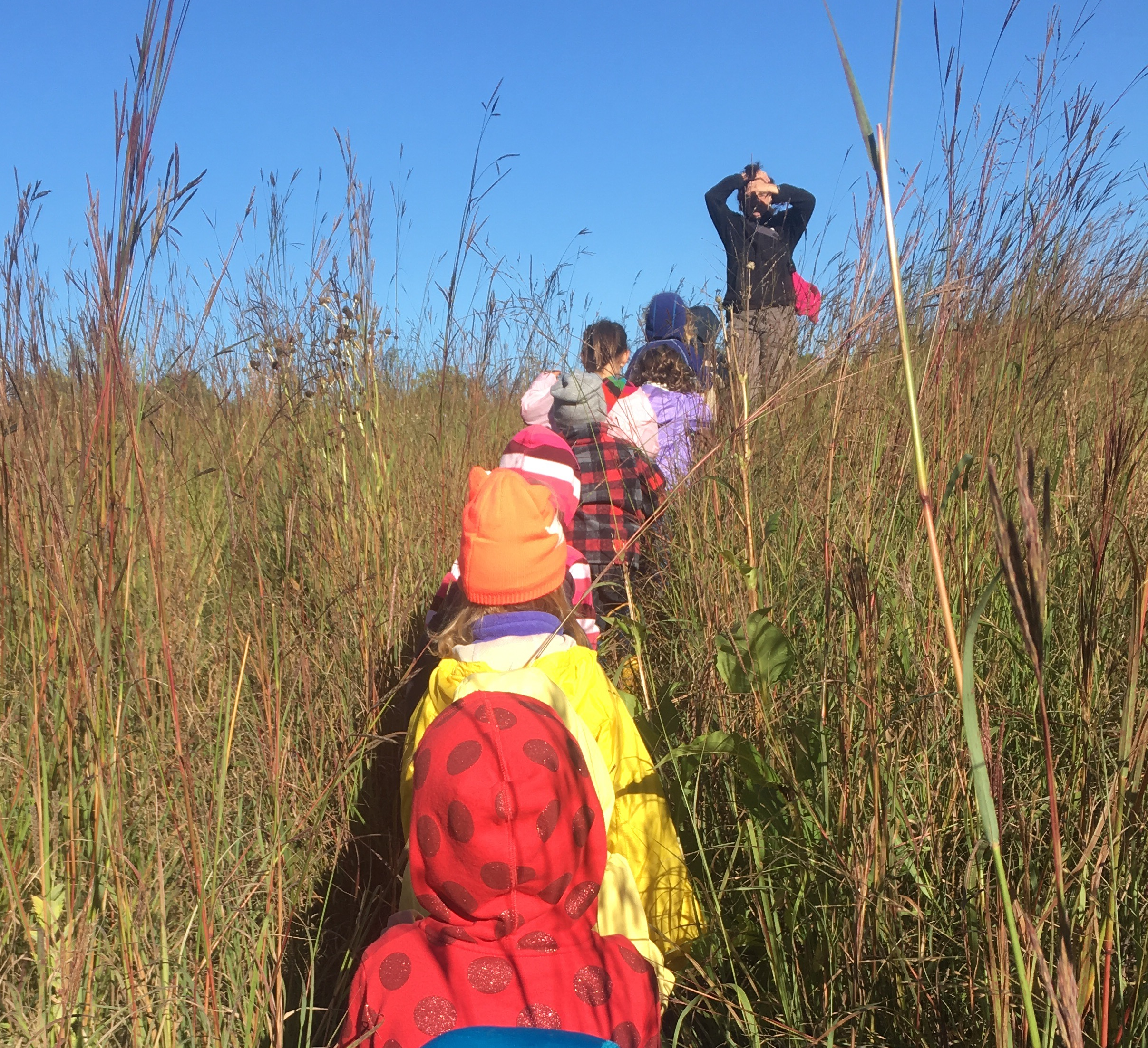 Preschool | Dodge Nature Center