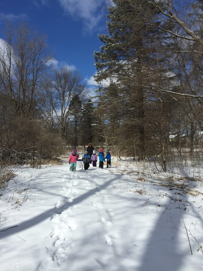 Educators | Dodge Nature Center