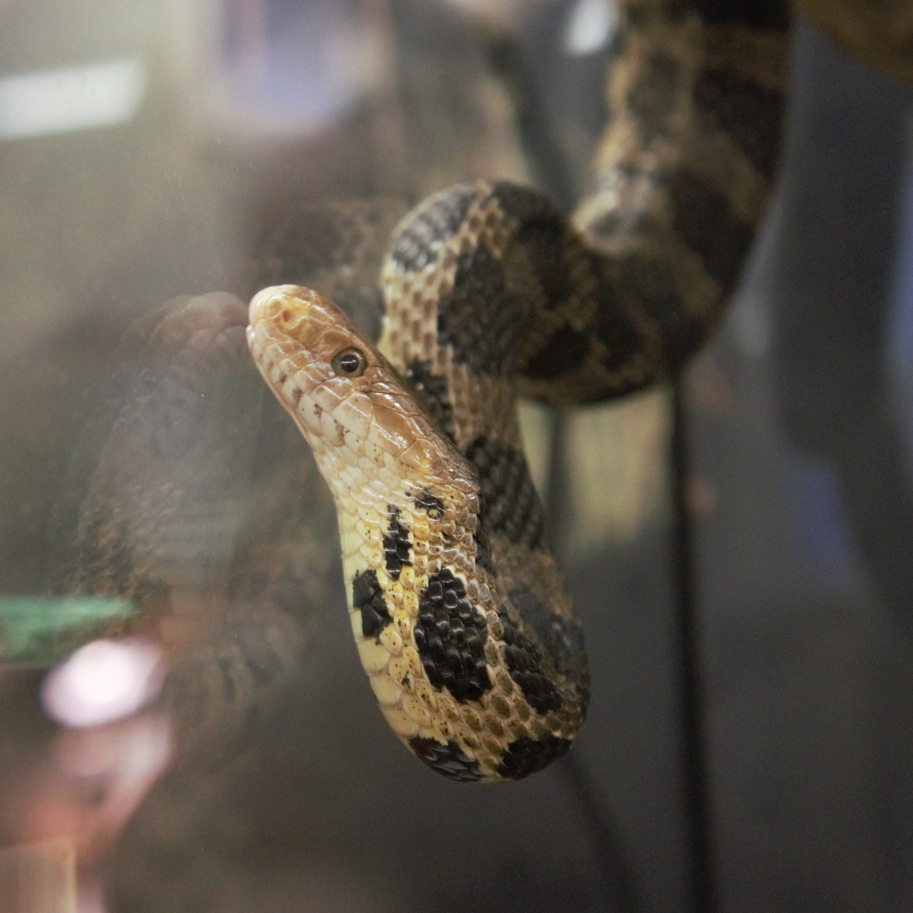 Options for Your Group | Dodge Nature Center