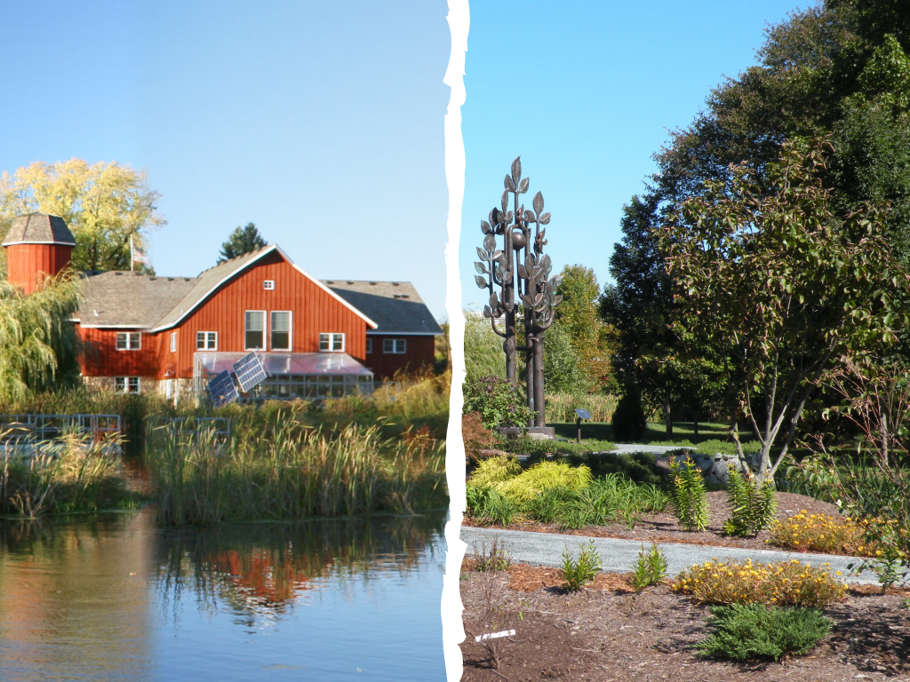 An arborist with roots at Dodge | Dodge Nature Center