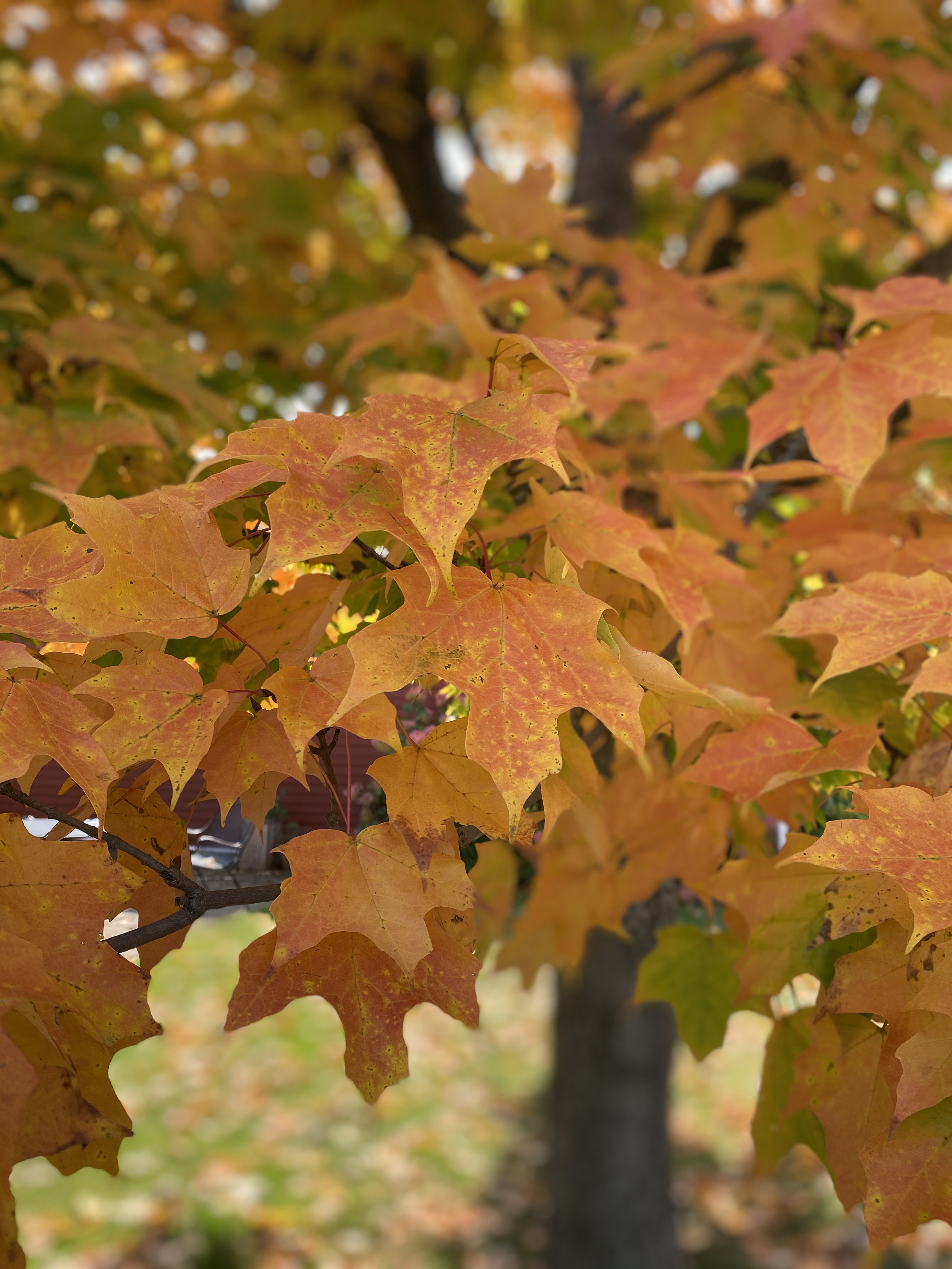 Dodge Nature Center | Nourish Your Need For Nature