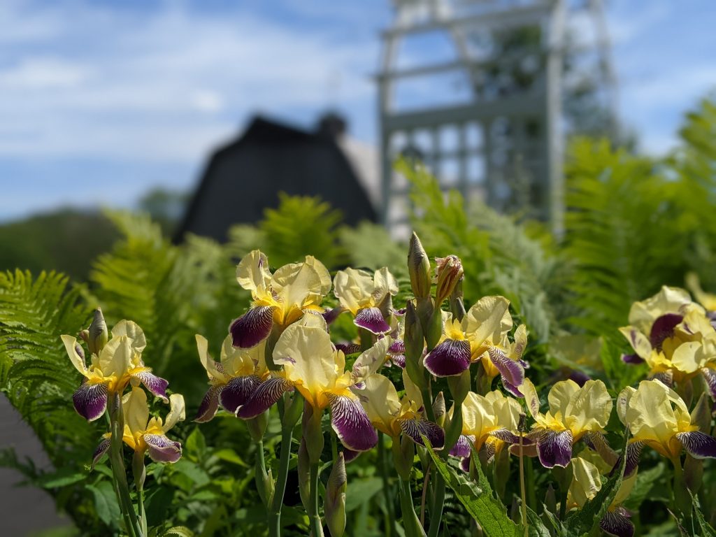 Stay Connected | Dodge Nature Center