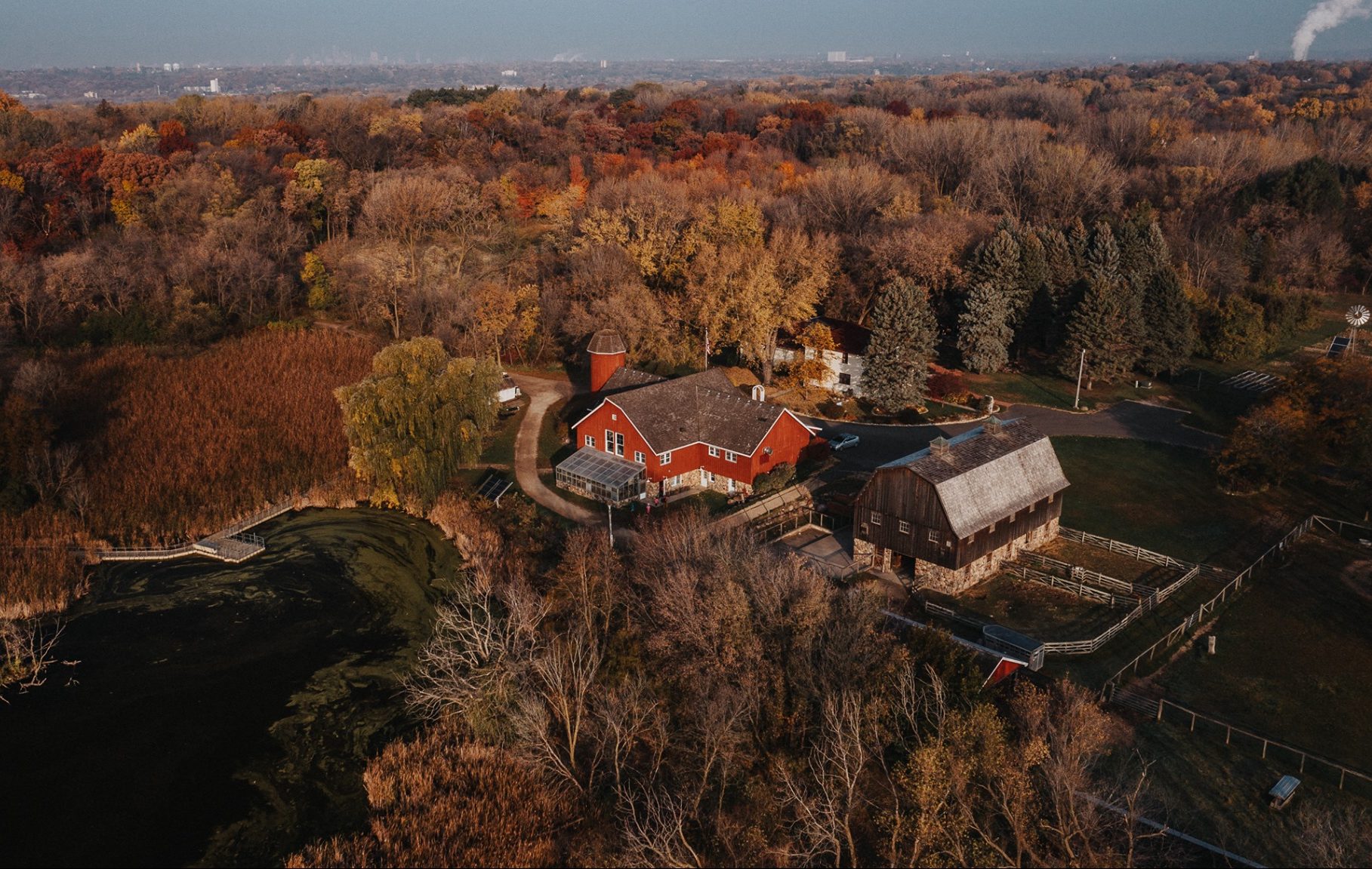 Naturalist Fellowship | Dodge Nature Center