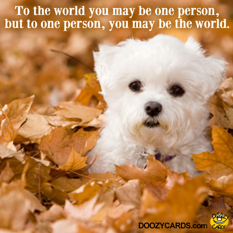 Free Meme eCards | Funny & Thoughtful Memes | Static eCards