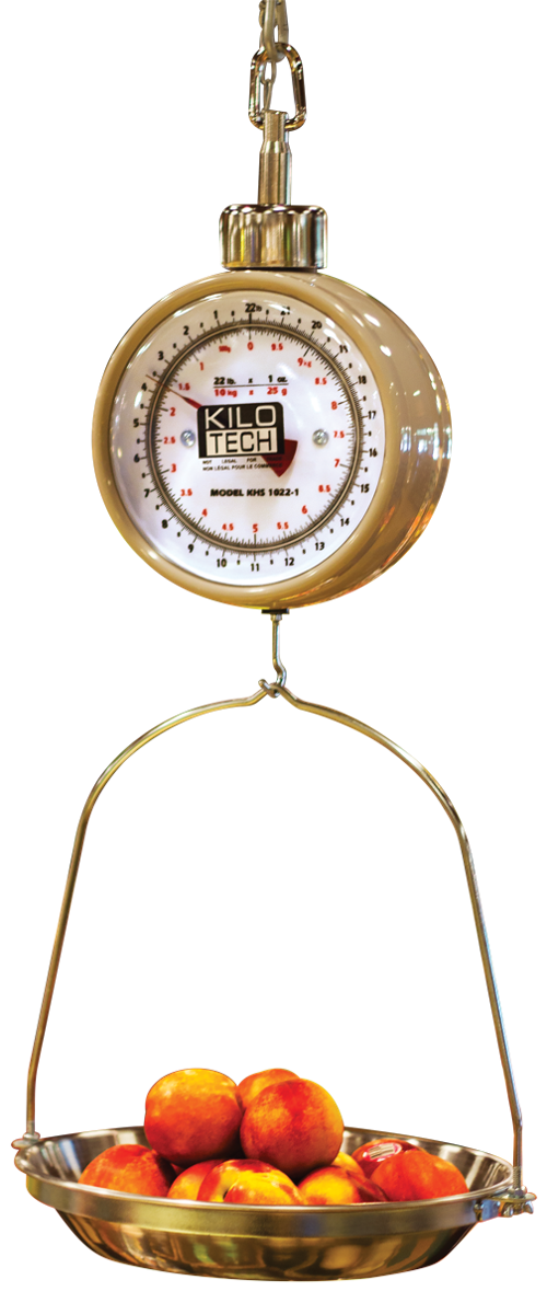 Hanging Dial Scale 10 kg x 25 g