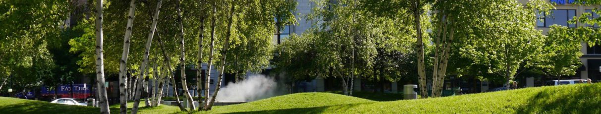 Growing Tree Canopy | Downtown Grand Rapids Inc.