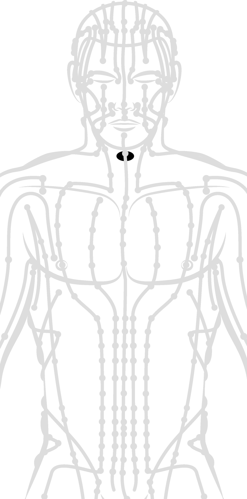 Application #27: Windpipe Copy – DSI University