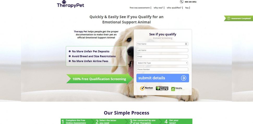 Portfolio - Dream Encode