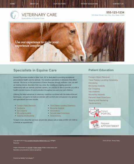 Equine Website Design | SEO & Marketing Solutions