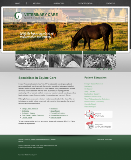 Equine Website Design | SEO & Marketing Solutions