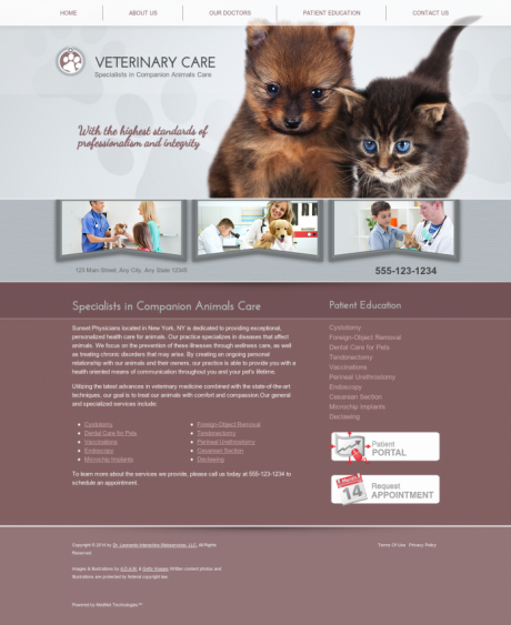 Veterinary Website Design | SEO & Marketing Solutions