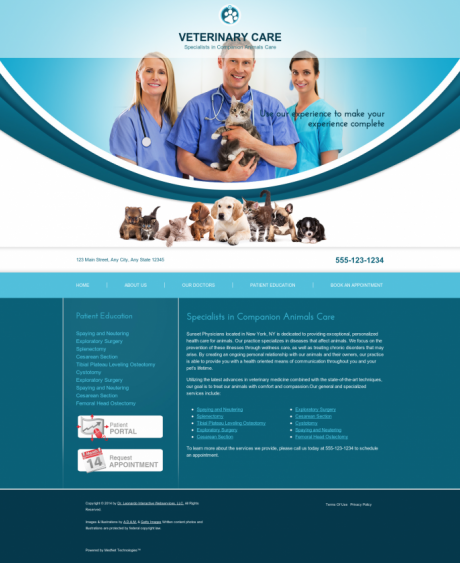 Veterinary Website Design | SEO & Marketing Solutions