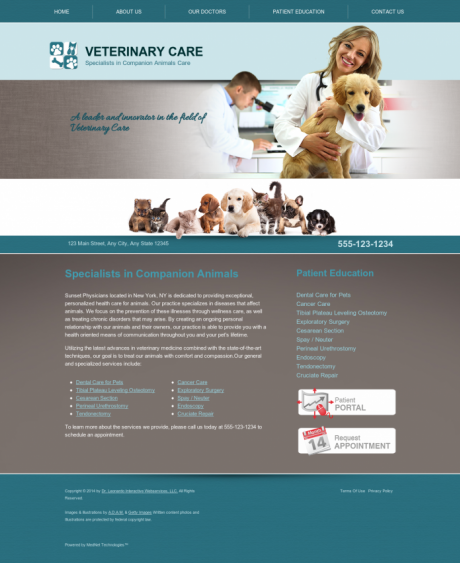 Veterinary Website Design | SEO & Marketing Solutions