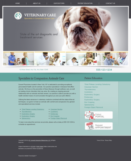 Veterinary Website Design | SEO & Marketing Solutions