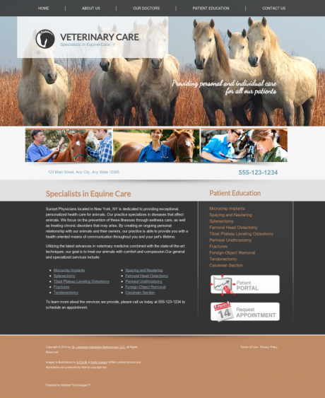 Equine Website Design | SEO & Marketing Solutions