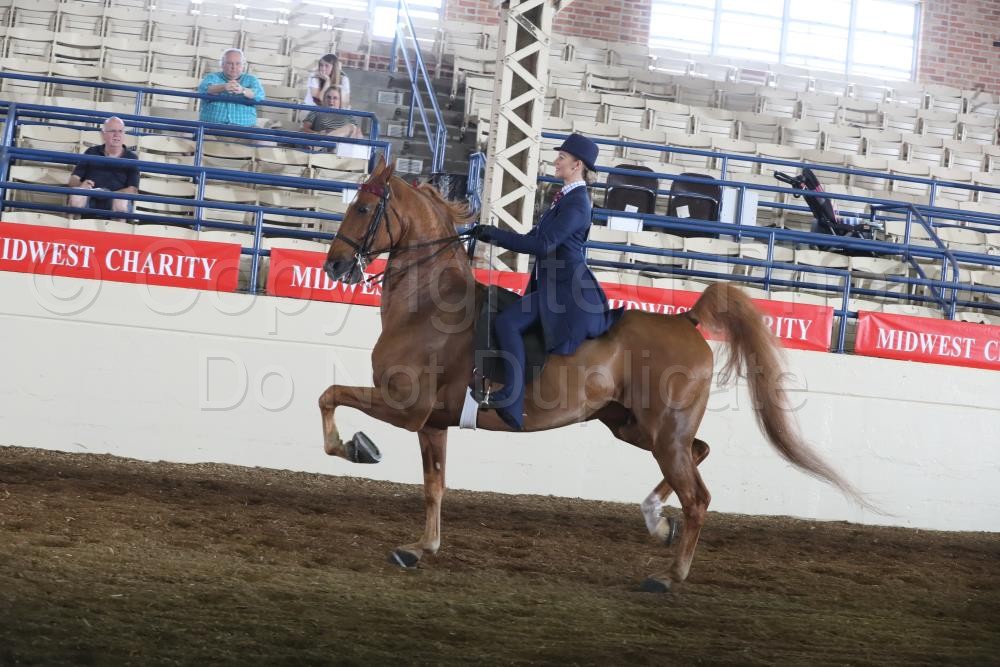 2016 Midwest Charity - Saturday PM - 180 - Hackney-Harness Pony Show ...