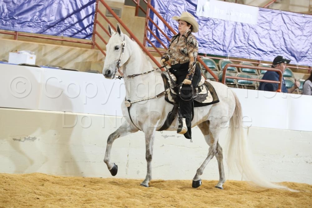 2018 Pro Am - Friday PM - Horse Show Proofs - 2018 Proofs - dshiflet.com