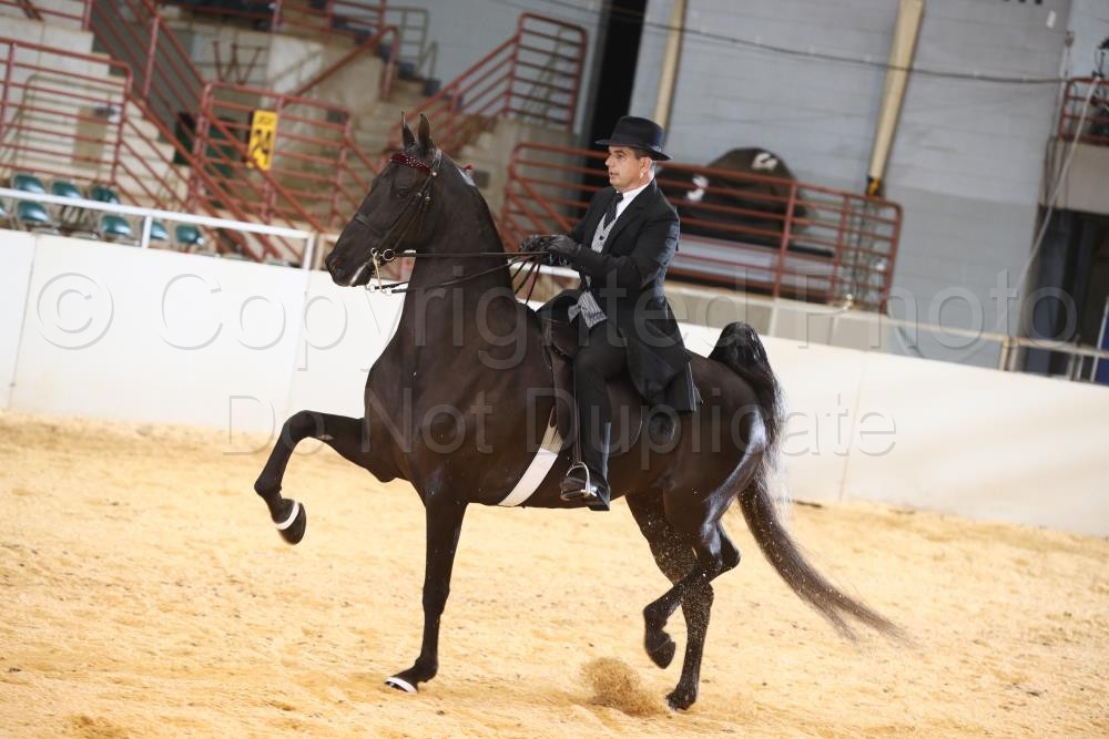 2019 Pro Am - Horse Show Proofs - 2019 Proofs - dshiflet.com