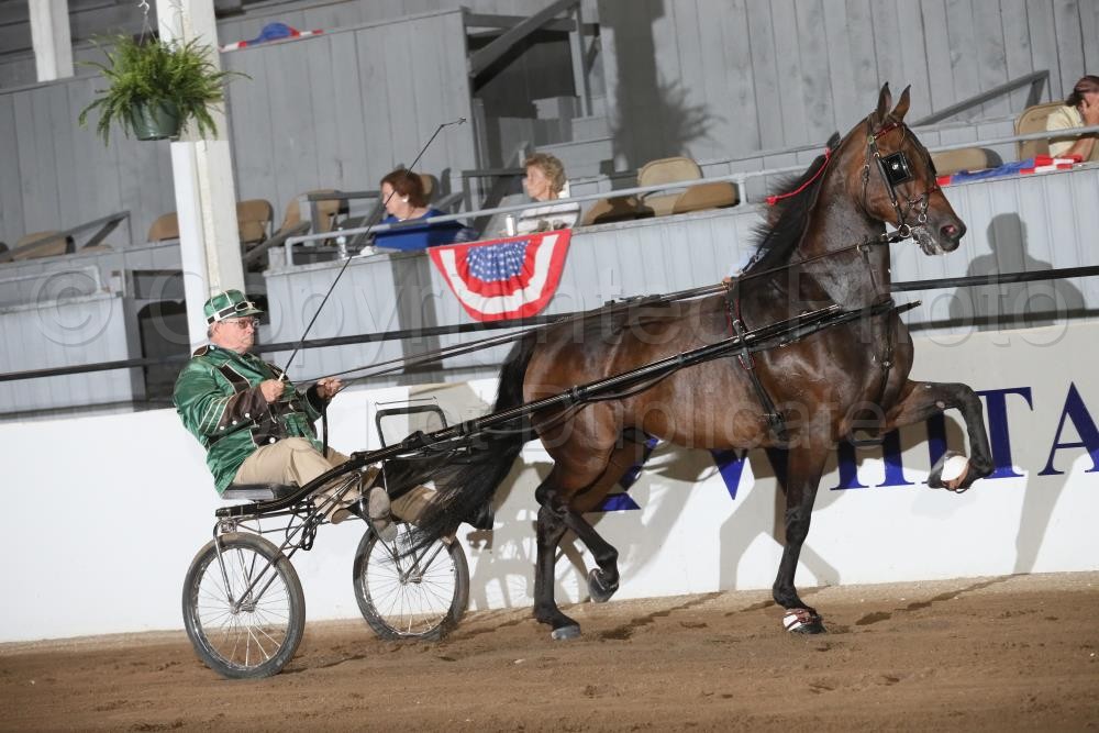 2019 Mercer County - Horse Show Proofs - 2019 Proofs - dshiflet.com