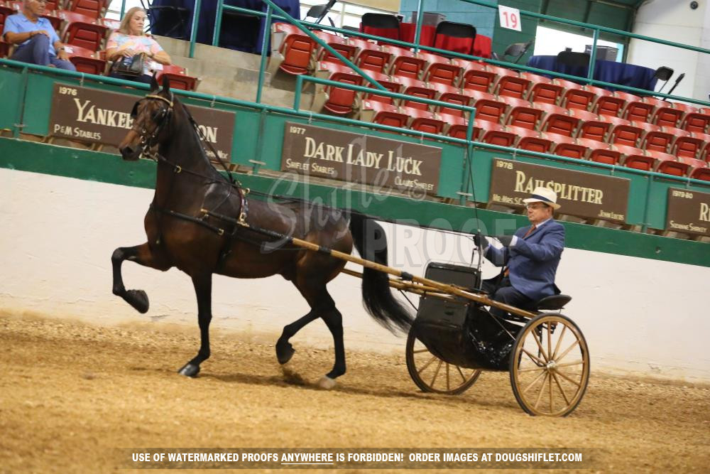 2021 NC State Championship - Saturday AM - 112 - Open Pleasure Pony ...