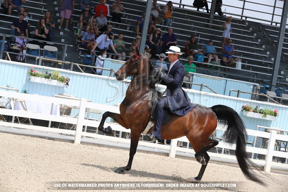 2022 Devon Horse Show Proofs 2022 Proofs Dshiflet