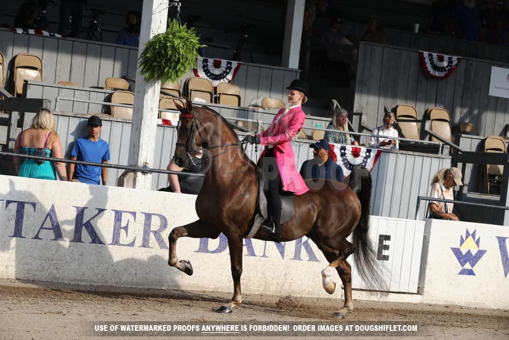 2022 Mercer County - Horse Show Proofs - 2022 Proofs - dshiflet.com