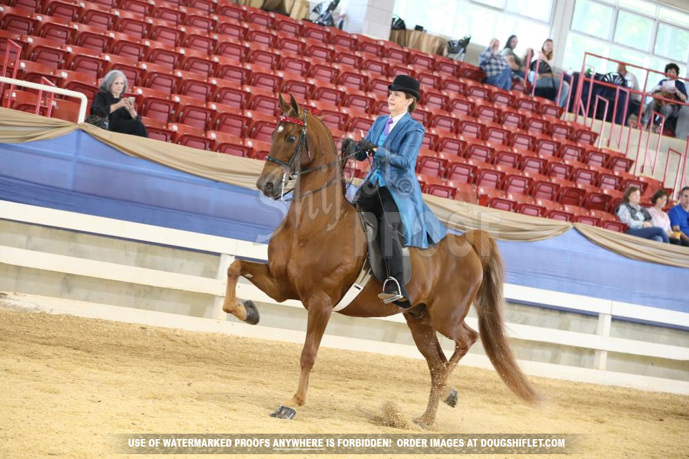 2023 Asheville Classic - Saturday PM - 138 - PARK THREE GAITED ...