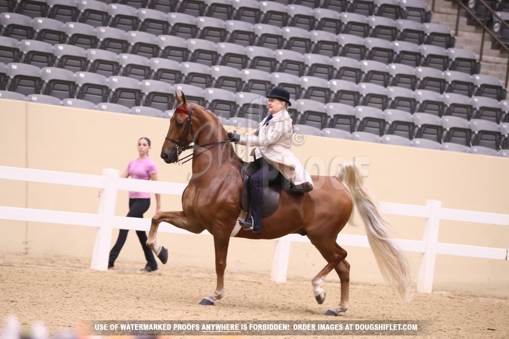 2025 Kentucky Fall Classic - Friday - Horse Show Proofs - 2025 Proofs ...