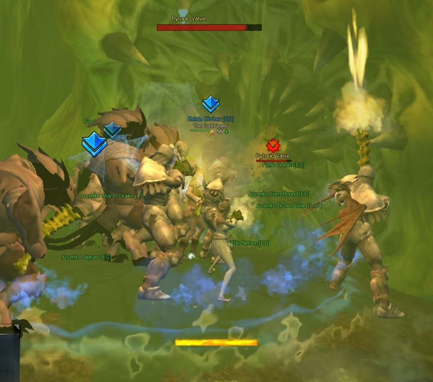 Where Can I Find A Juvenile Fern Hound