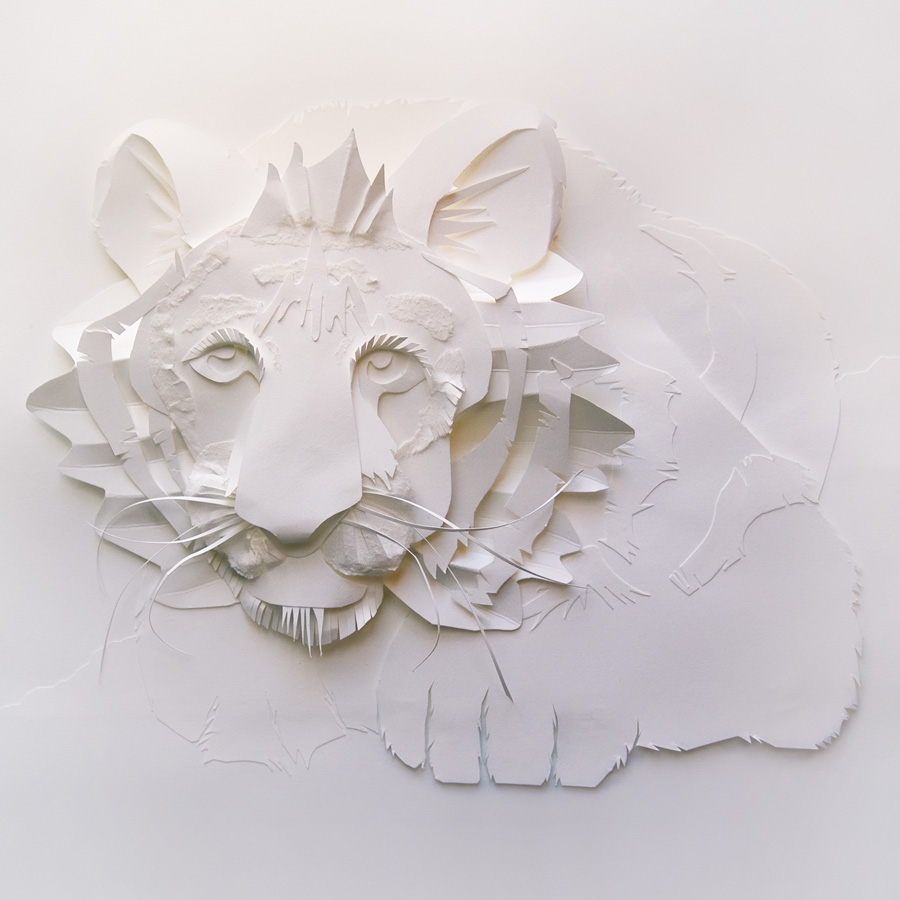 William Wang Studio