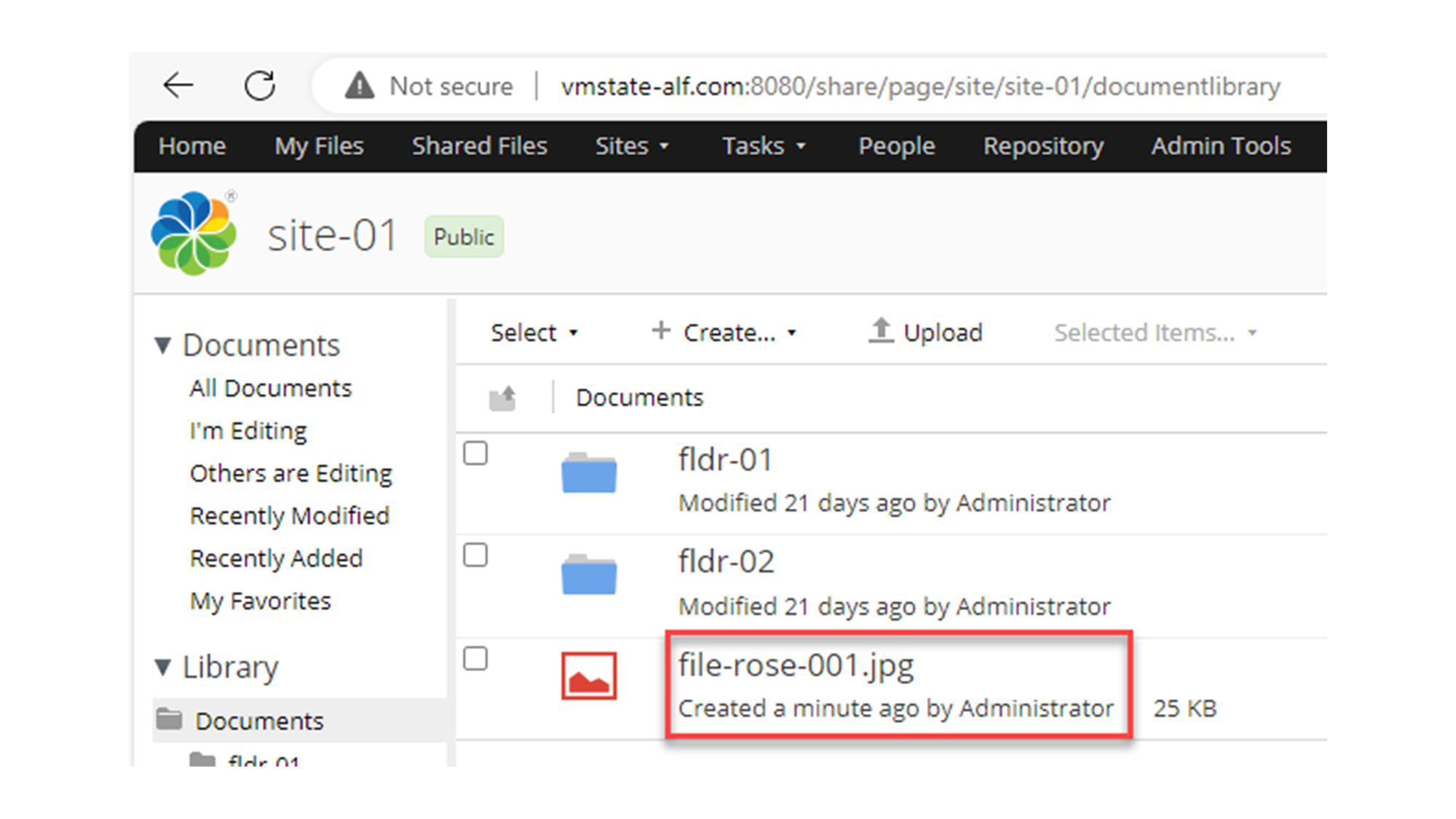 Alfresco Document Lifecycle Management - VMState