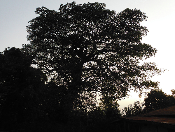 The long, dusty road to Dembi Dolo