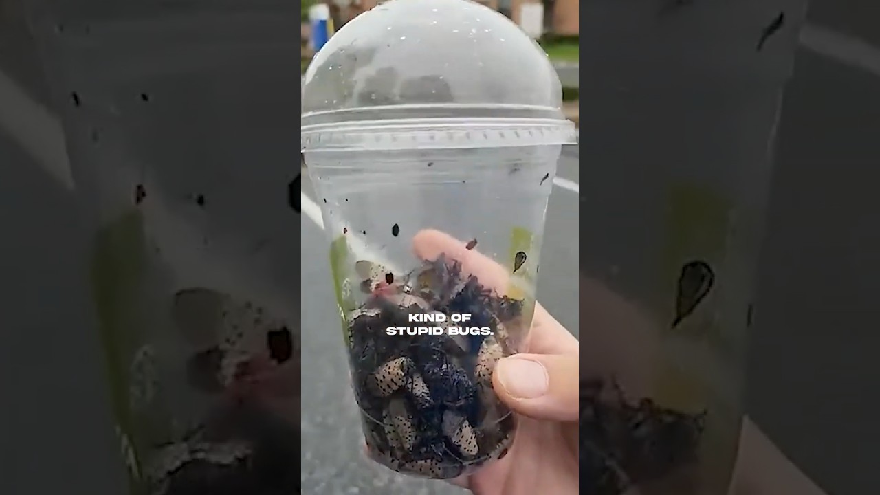 Most Homebuyers Don't Notice This Problem Until It's Too Late! | Compass