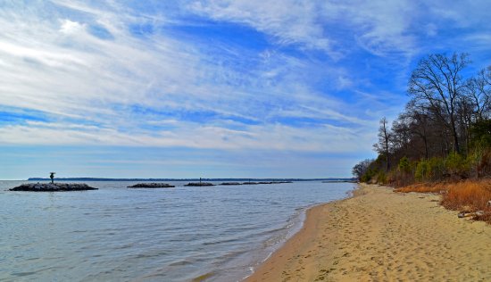 A Local's Guide To Living In Edgewater, Maryland | REAL Broker, LLC.