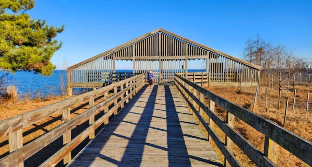 A Local's Guide To Living In Pasadena, Maryland | REAL Broker, LLC.