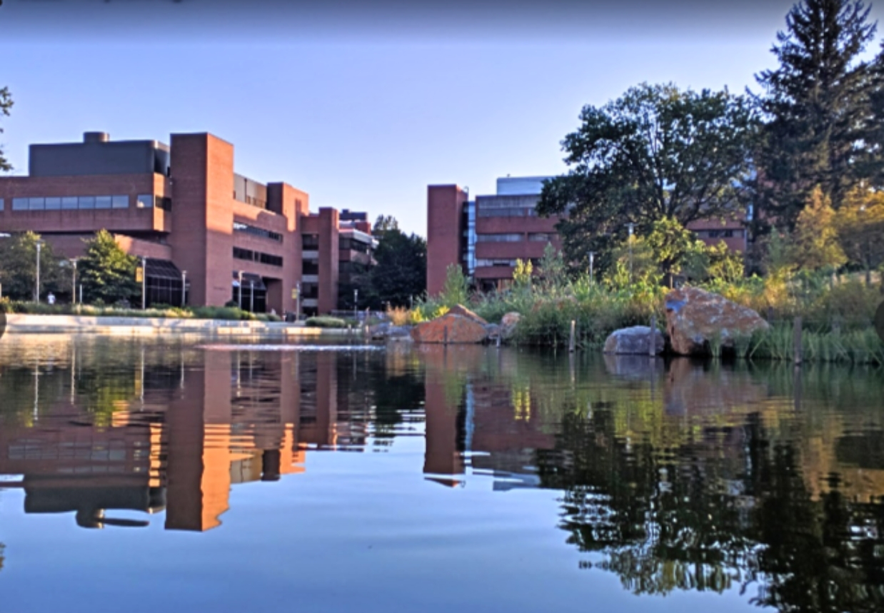 A Locals Guide to Living in Catonsville, Maryland ‹ REAL Broker, LLC ...