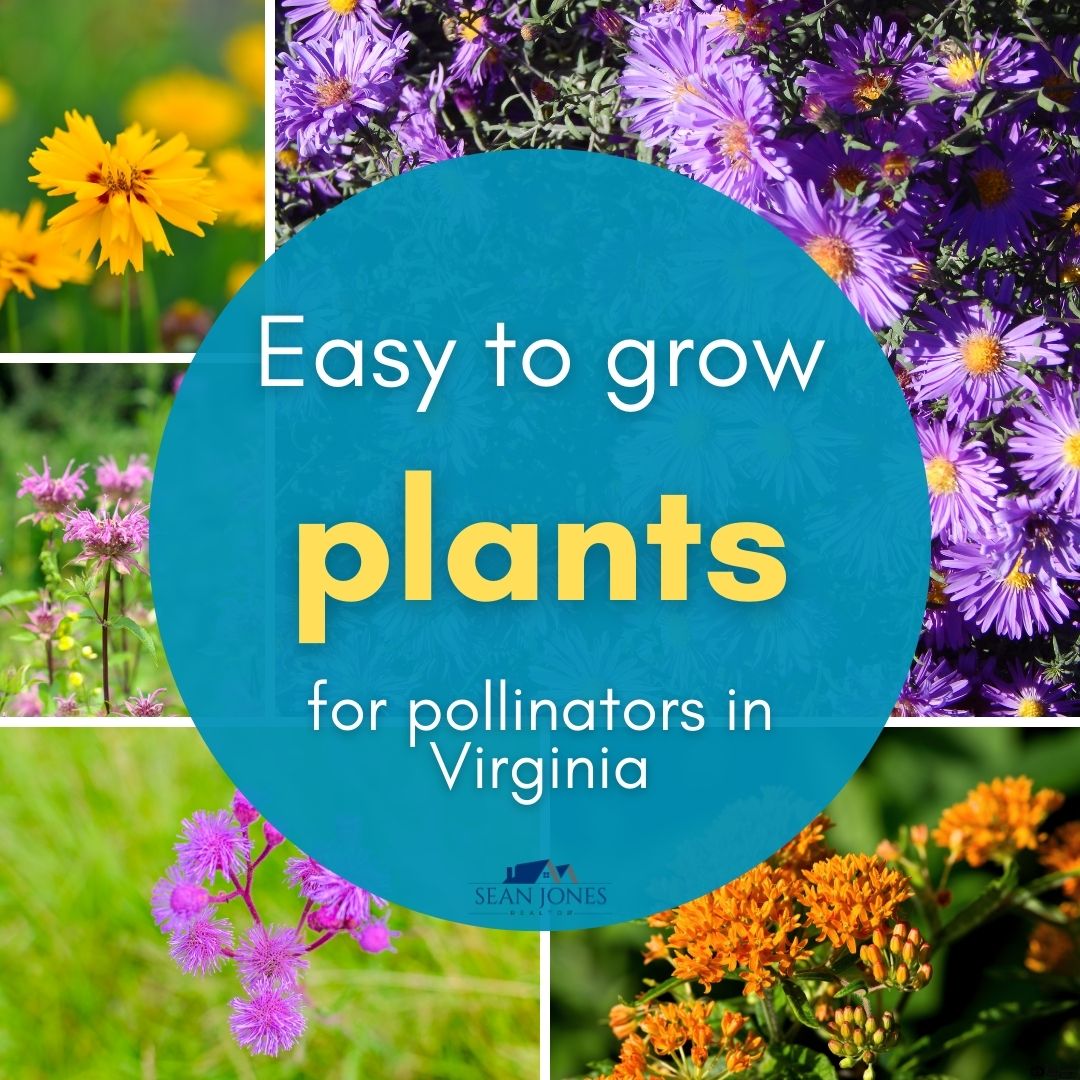 plants for pollinators in virginia