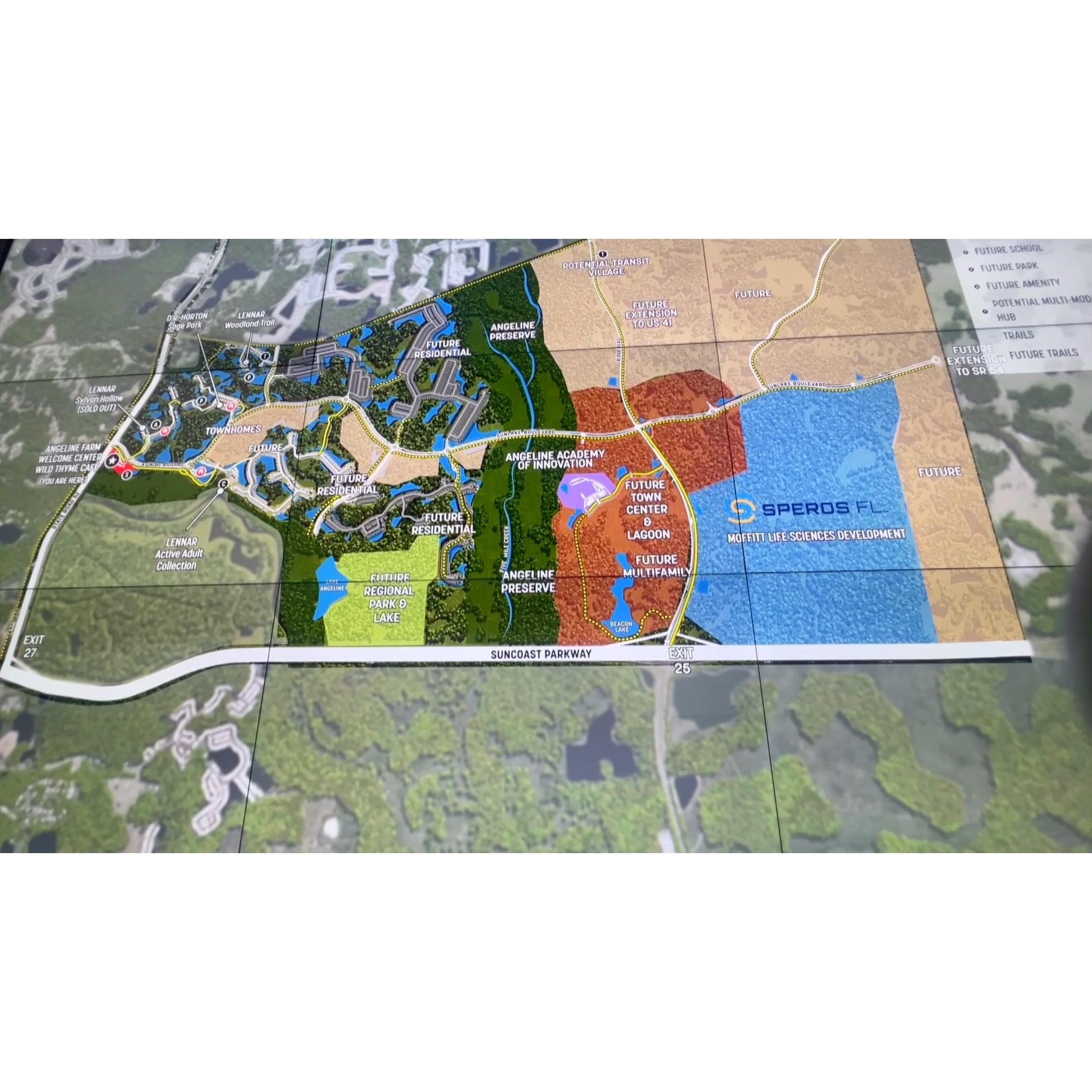 ANGELINE NEAR LAND O'LAKES | Platinum Properties of Florida, LLC ...