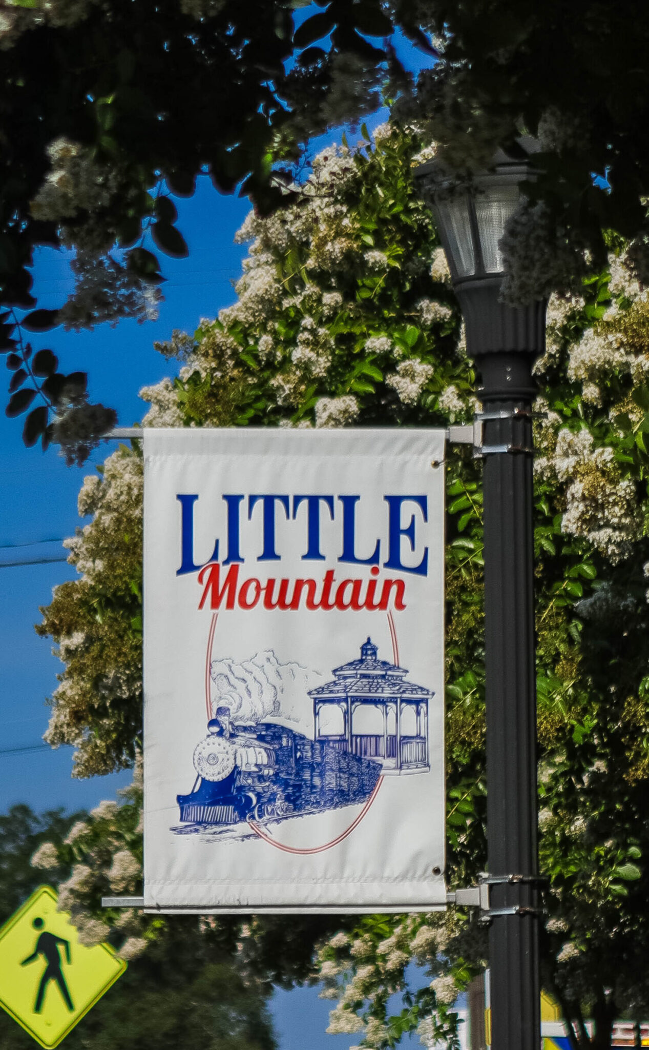 Little Mountain South Carolina