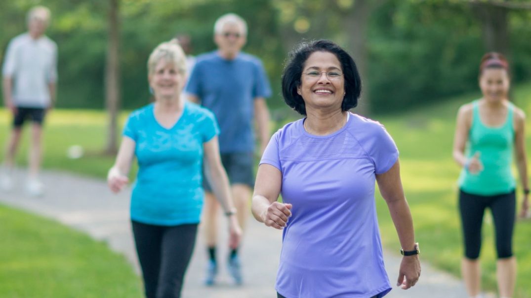 Explore Halifax’s Walk-Friendly Areas and scenic landmarks ...