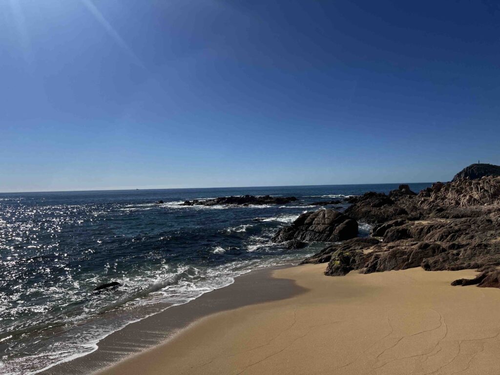 Cabo Real Surf Club: A Groundbreaking Surf Community in the Making