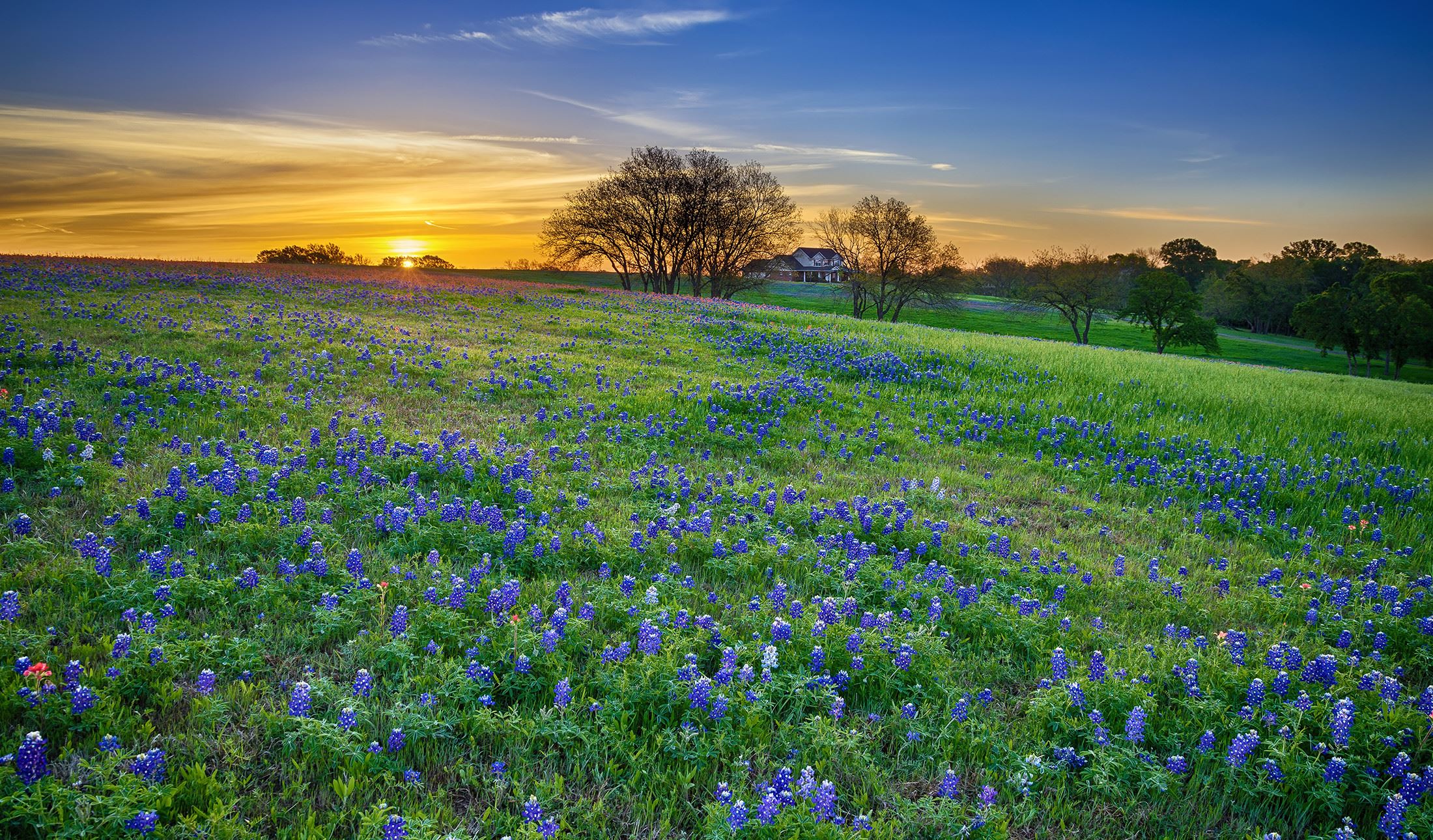 Moving to Willis, 5 Things You Should Know About Living in Willis