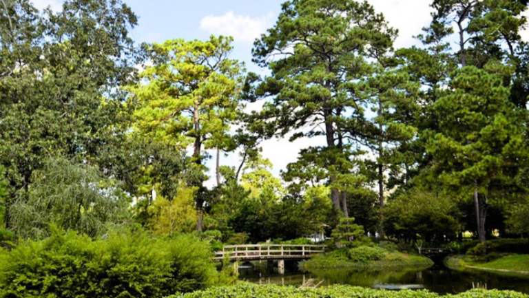 Suburban Sanctuary: Discovering Quiet Houston Suburbs (2024)