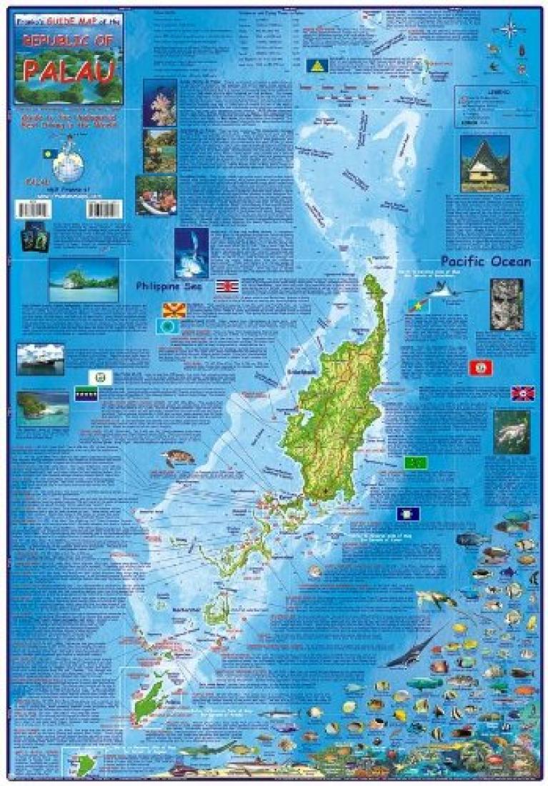 Palau Guide Map, Laminated Map by Frankos Maps Ltd.