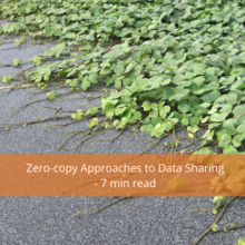 Addressing Data Duplication with Zero-Copy Data Sharing