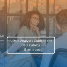 A Data Analyst’s Guide to the Data Catalog